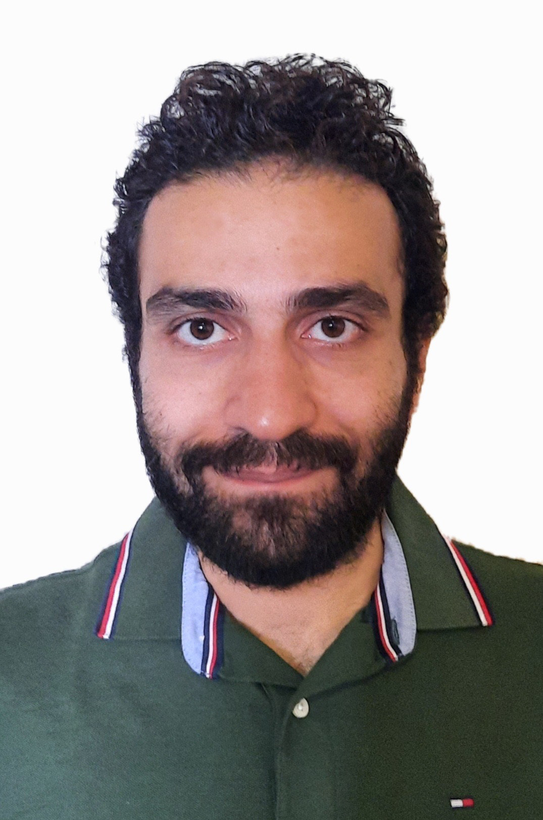 Abdallah Hassan El-Hamalawy – Smart Grid and Green Hydrogen Research Lab